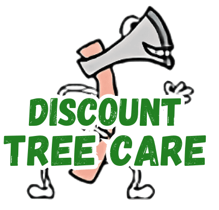 Discount Tree Care | For Homeowners and Businesses